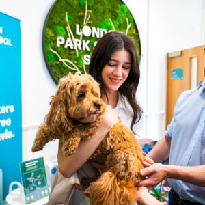 Welcome to LPS Sixth | Pimlico Sixth Form | LPS Sixth
